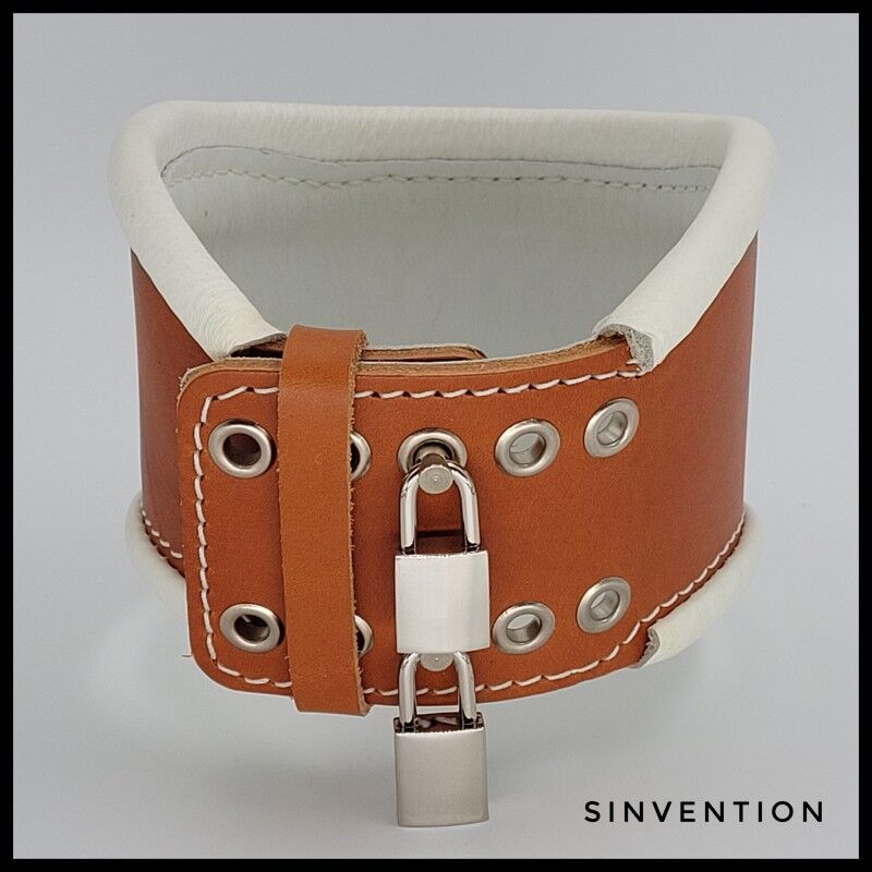 Purgatory Extreme Posture Collar - Asylum Edition