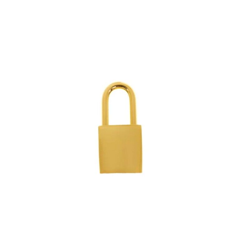 Small Gold Lock